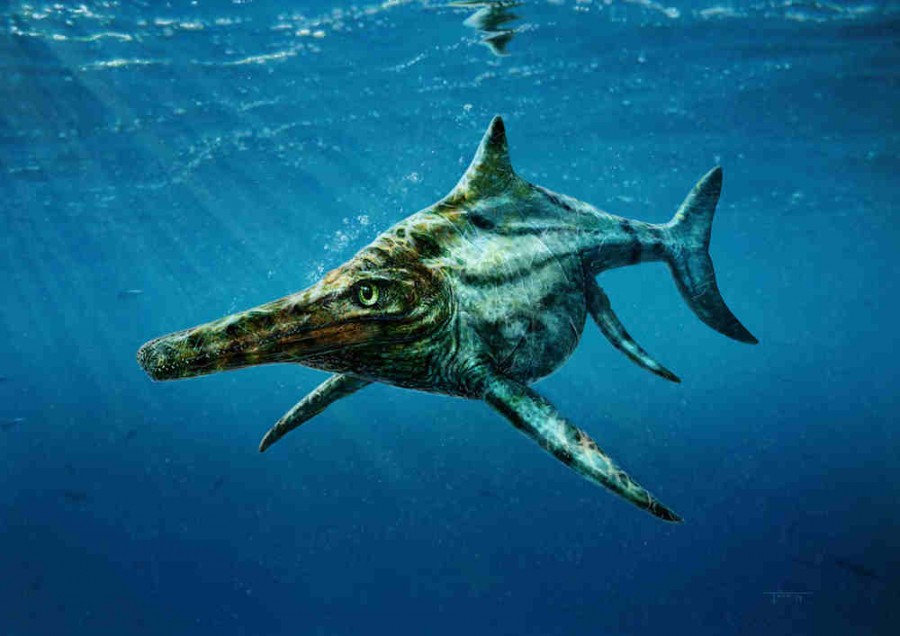 Fossil of Jurassic ‘Fish Lizard’ Discovered in Isle of Skye, And More ...